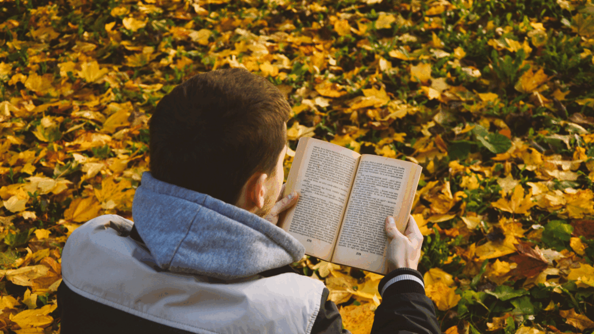 What’s Next from Sarah J. Maas? Upcoming Books and Rumored Projects ...