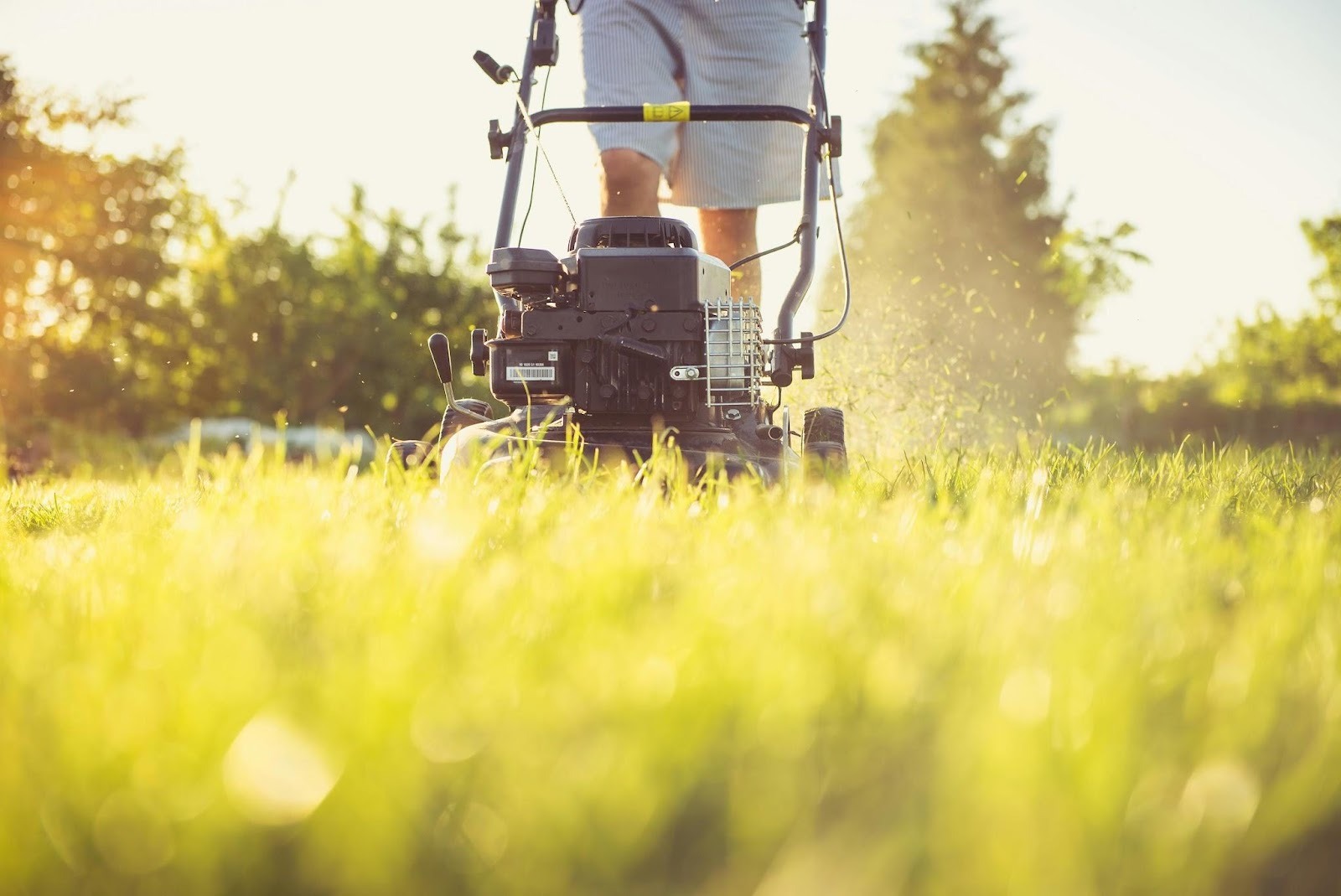 What Lawn Care Really Looks Like - Bookvibe